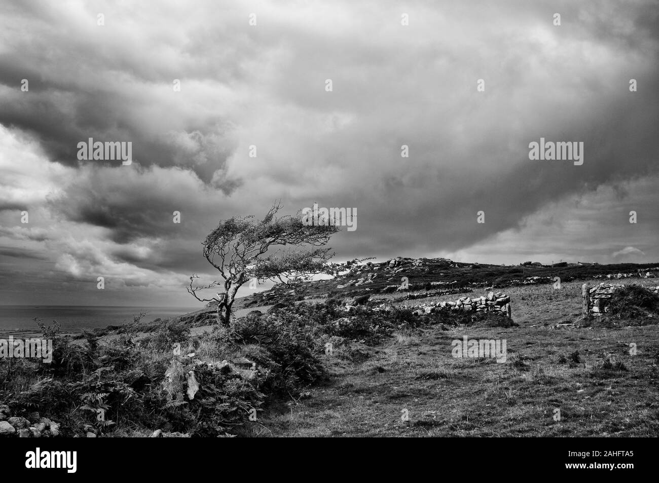 Landscape in cornwall Black and White Stock Photos & Images - Alamy