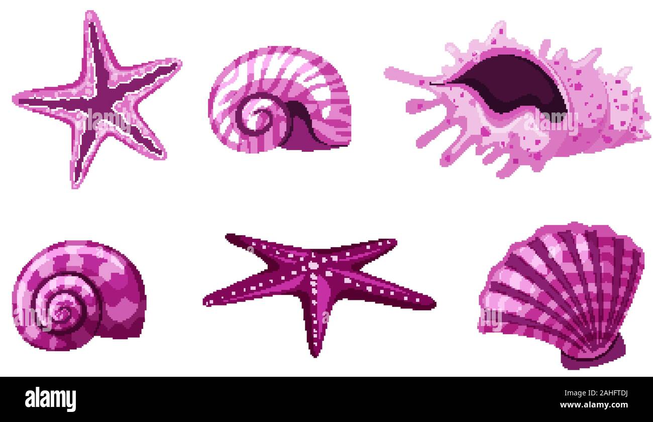 Set of isolated seashells in pink illustration Stock Vector Image & Art ...