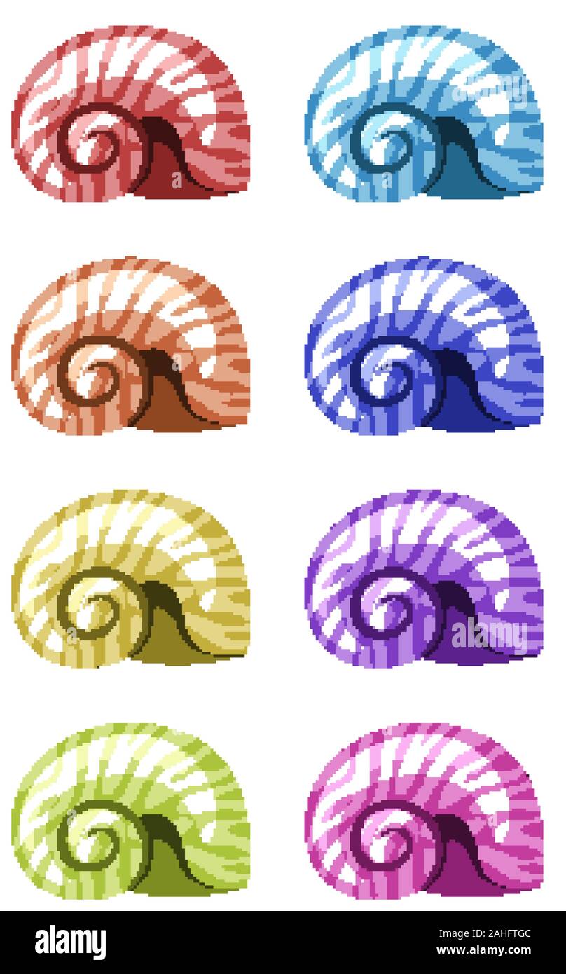 Set of seashells in different colors illustration Stock Vector Image ...
