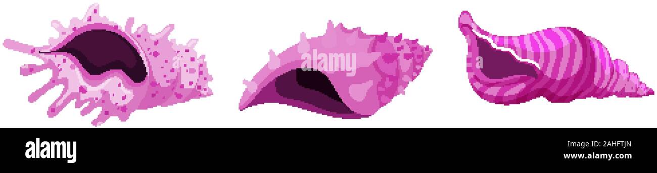 Set of isolated seashells in pink color illustration Stock Vector Image ...