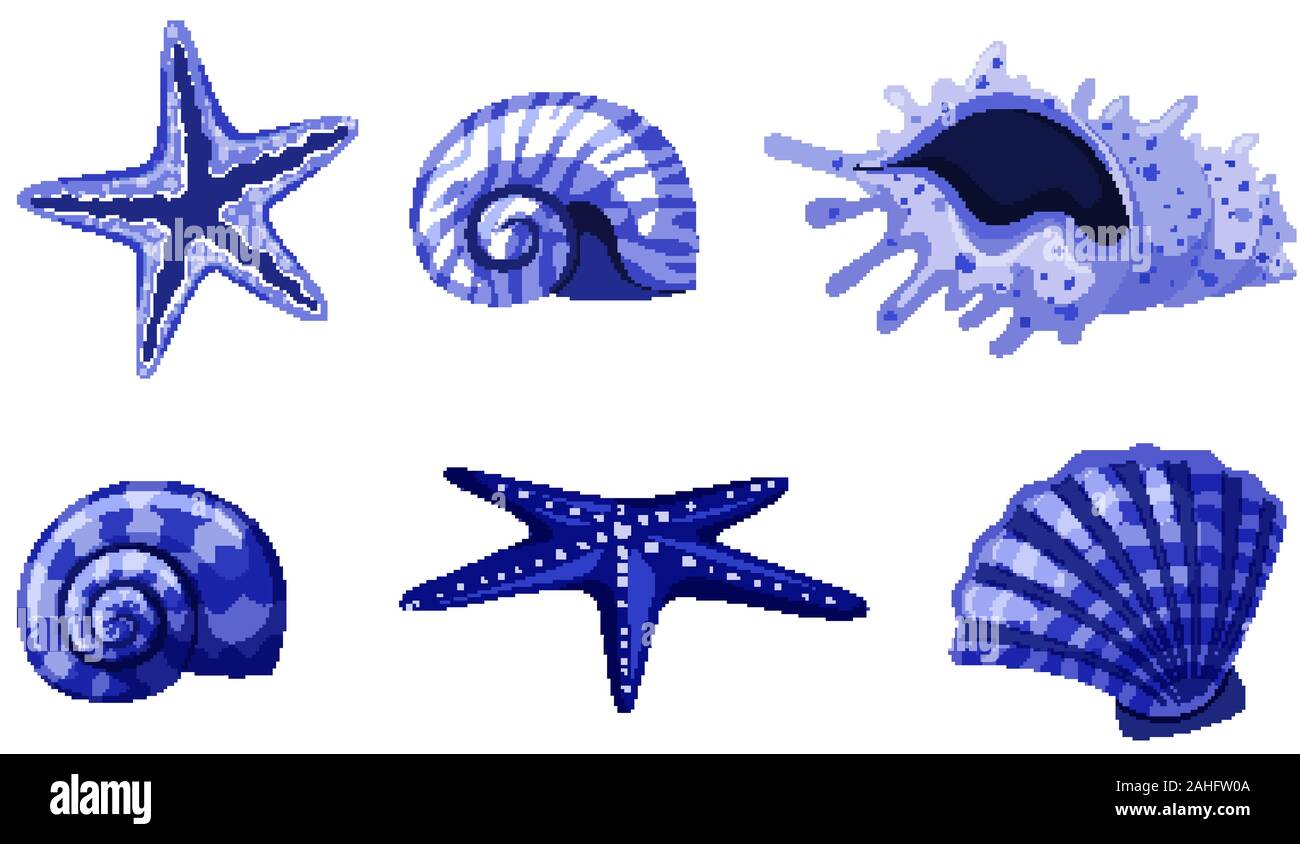 Set of isolated seashells in blue color illustration Stock Vector Image ...