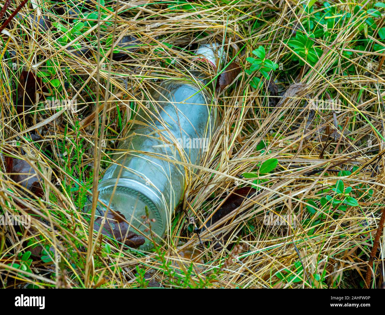 picture of people leaving garbage on the river bank, garbage ingested ...