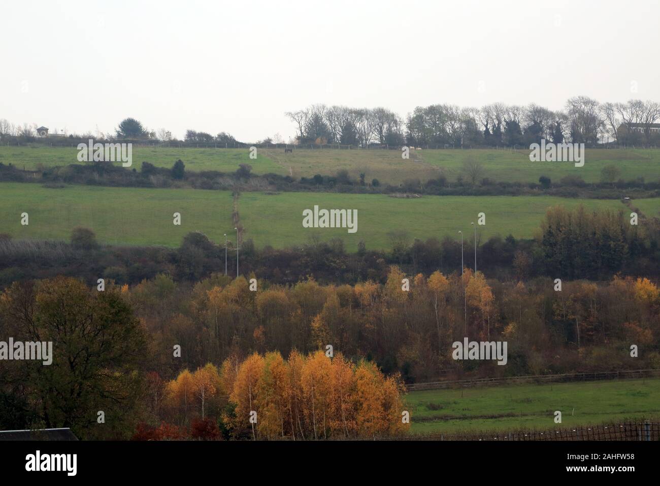 Animals in the north downs hi-res stock photography and images - Alamy