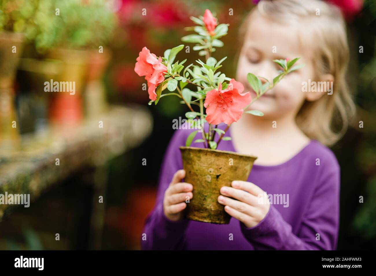 Child planting spring flowers. Little girl gardener plants azalea. Girl ...
