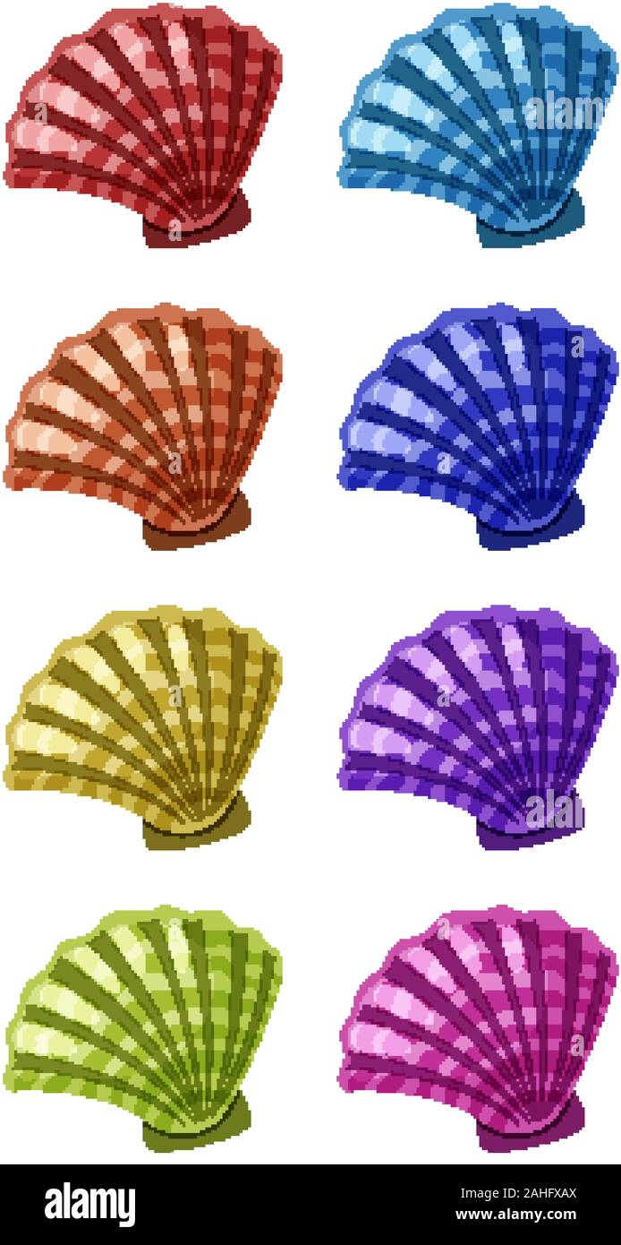 Set of seashells in different colors illustration Stock Vector Image ...