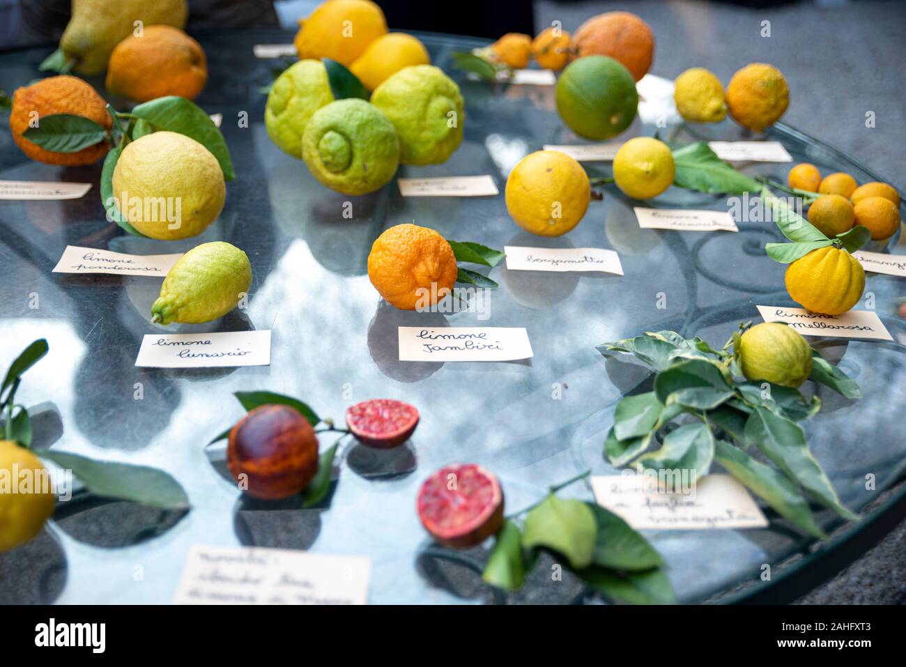 Different types of citrus hi-res stock photography and images - Alamy