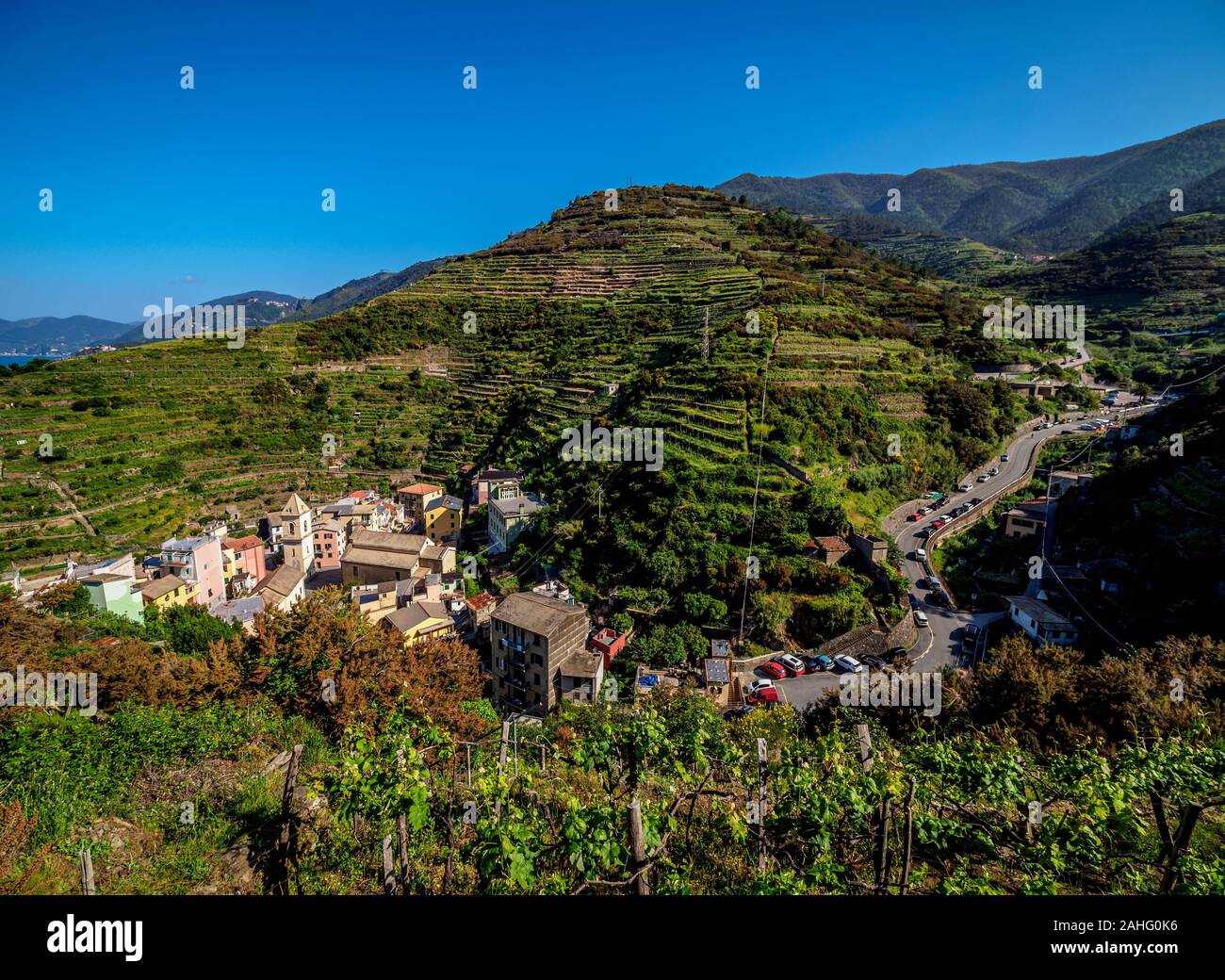 Vineyard in Manarola, Cinque Terre, UNESCO World Heritage Site, Liguria ...