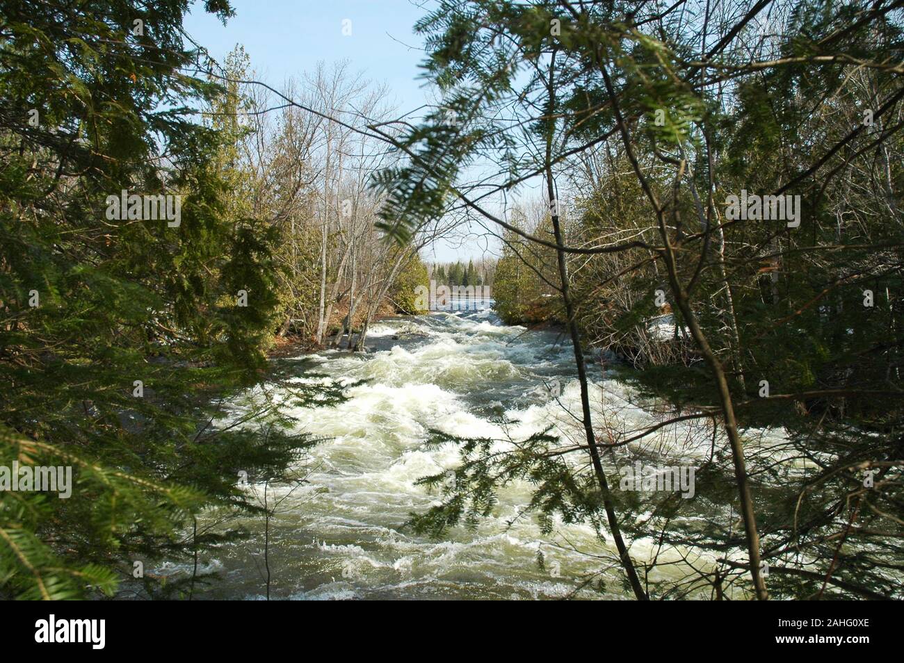 Spring time season in nature with waterfalls, trees, bleu sky, with ...