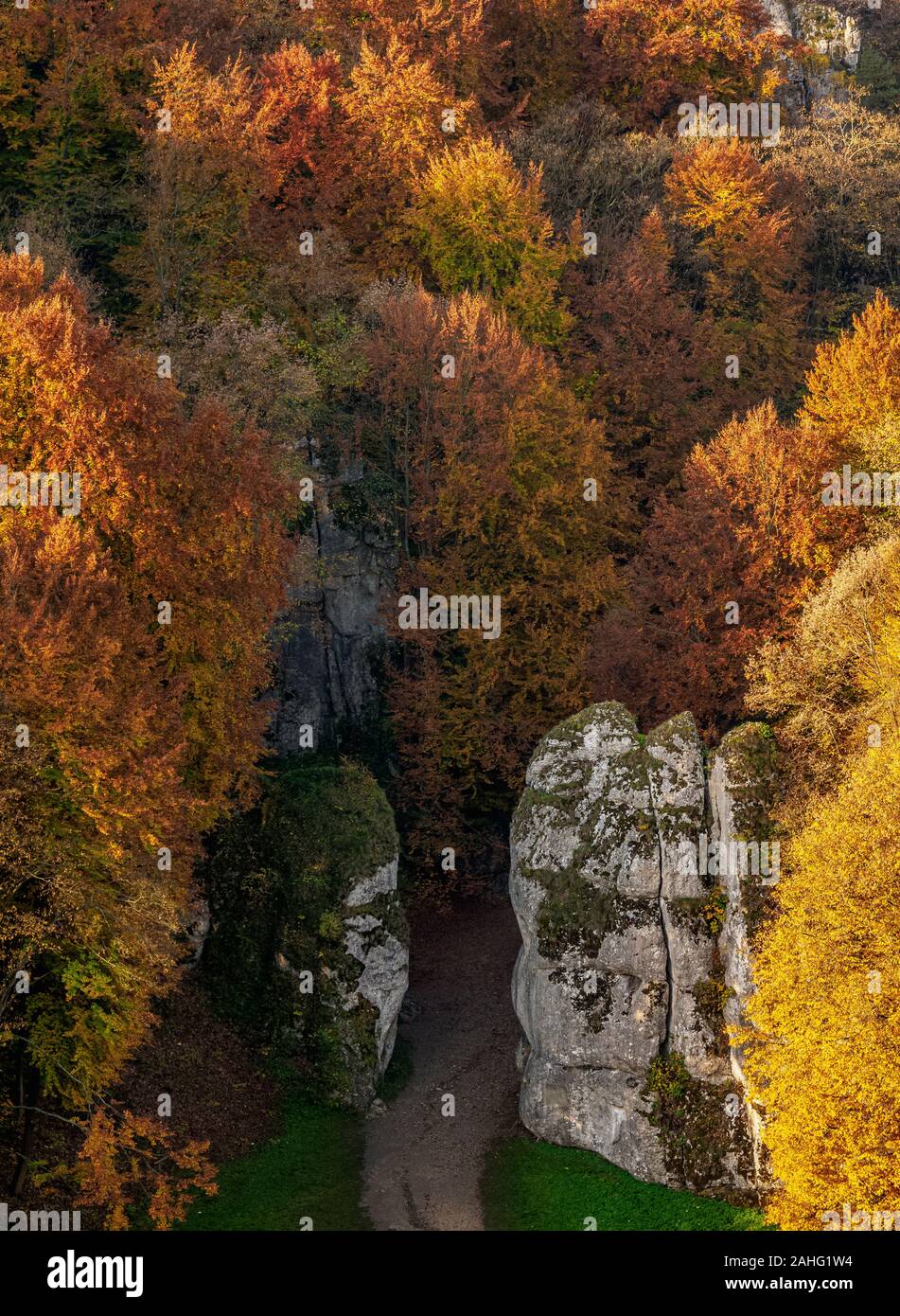 Brama Krakowska Rock Formation, elevated view, Ojcow National Park, Krakow-Czestochowa Upland or ...