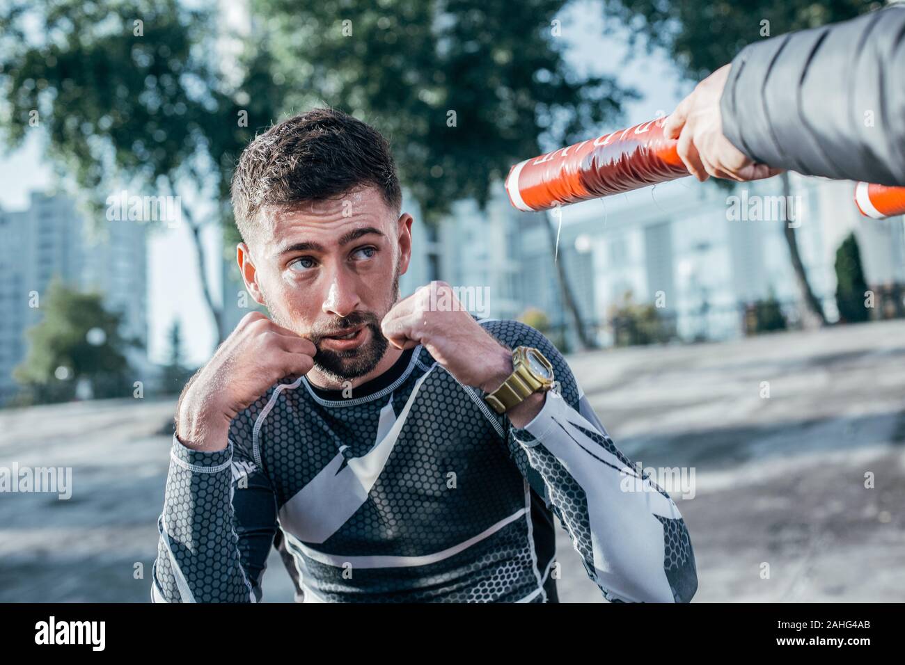 Confident sportsman looking at the boxing stick during MMA training ...