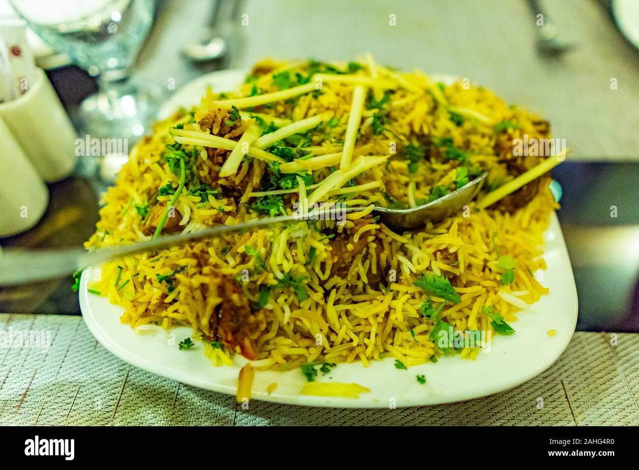 Traditional Mouthwatering Pakistani Spicy Chicken Biryani on a White ...
