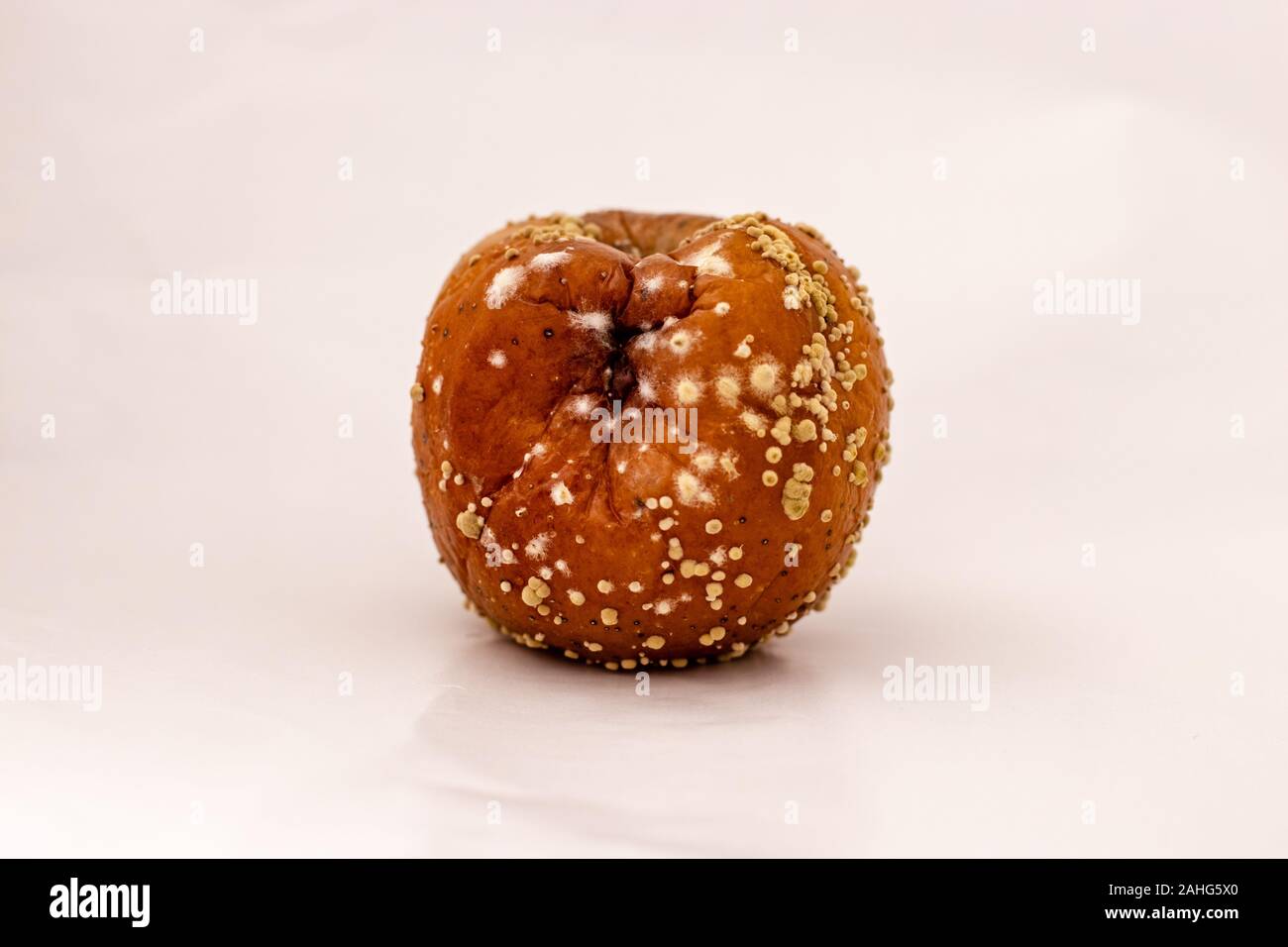 A rotten apple isolated on white background Stock Photo - Alamy