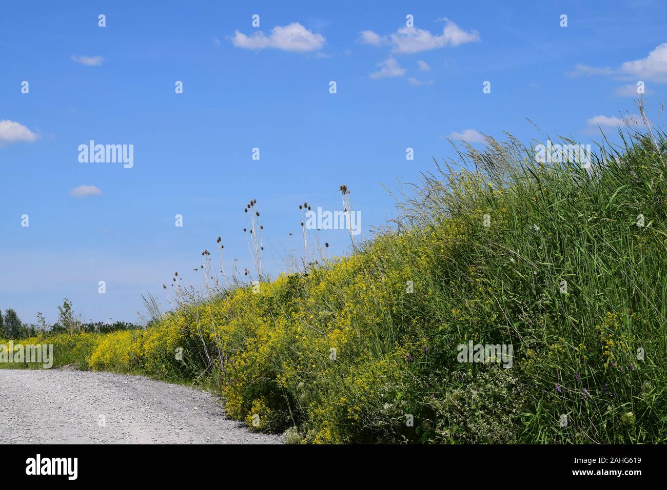 Gravel paths driveway hi-res stock photography and images - Alamy
