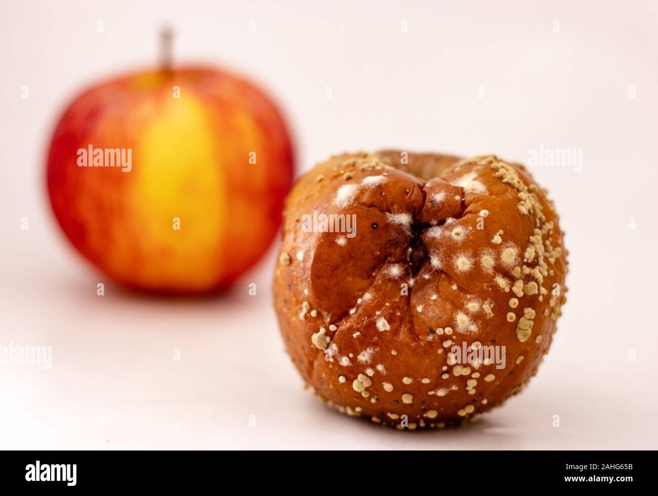 A rotten and a fresh apple one behind the other top view isolated on ...