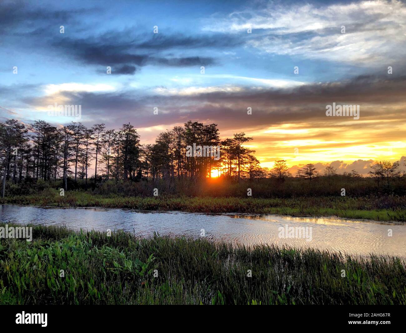 Marsh wetland dusk pond hi-res stock photography and images - Alamy