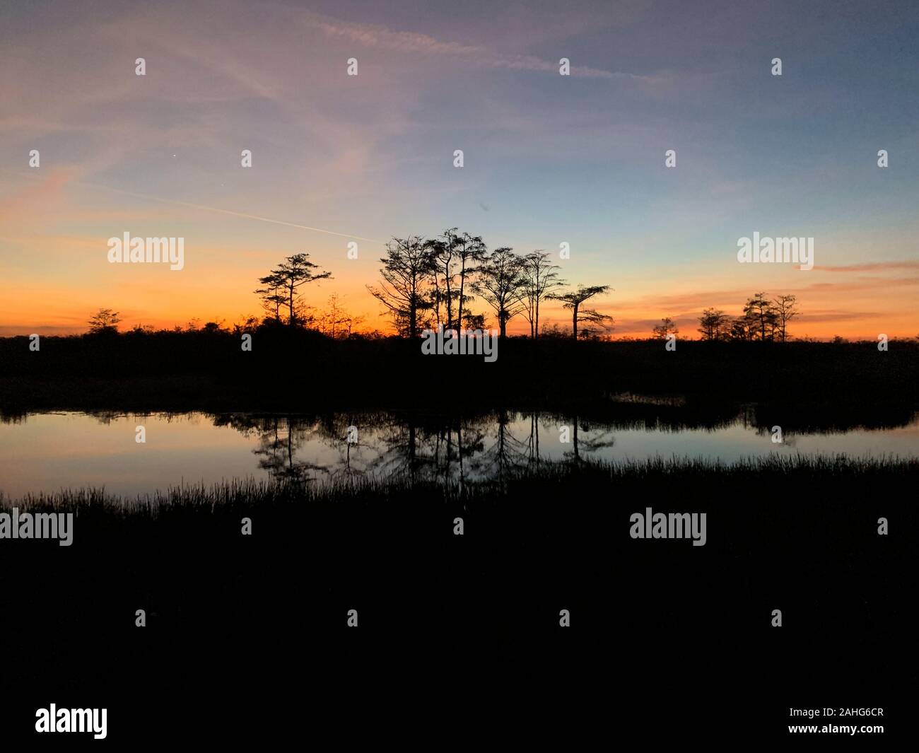 reflections of a sunset in the Florida swamps Stock Photo - Alamy