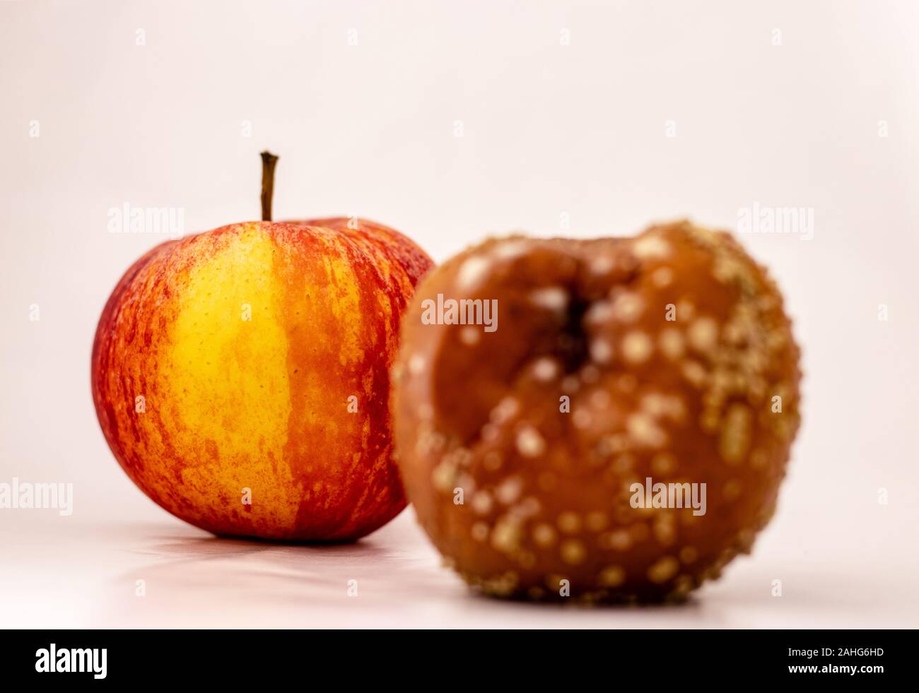 A rotten and a fresh apple one behind the other isolated on white ...