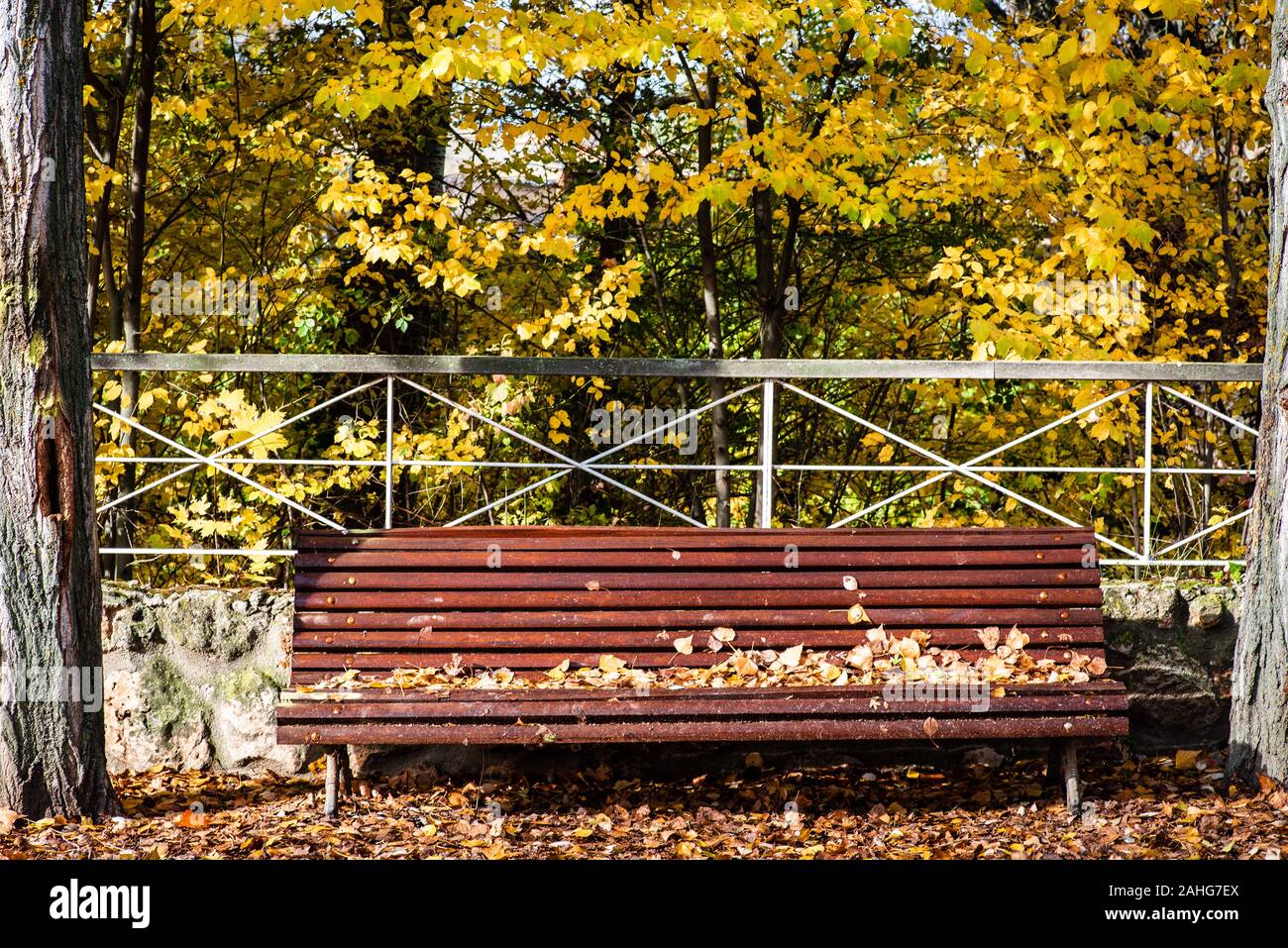 lonely wooden bench surrounded by dry fallen leaves in a quiet park ...
