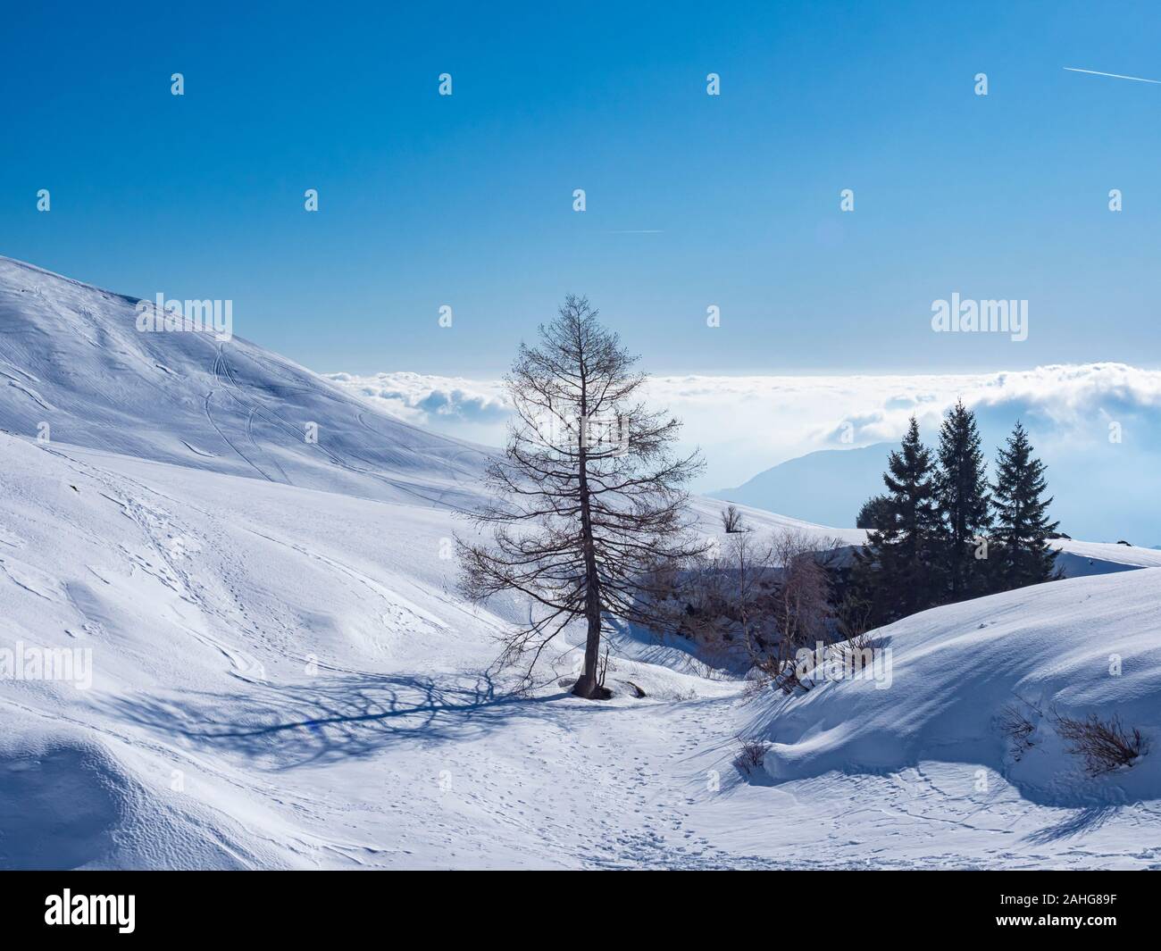 Winter landscape in the Italian alps Stock Photo - Alamy