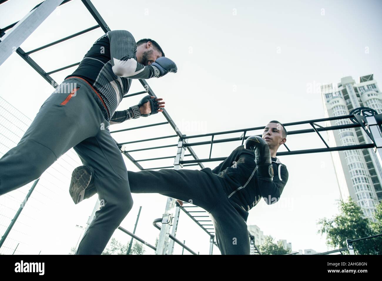 Mma champion hi-res stock photography and images - Alamy