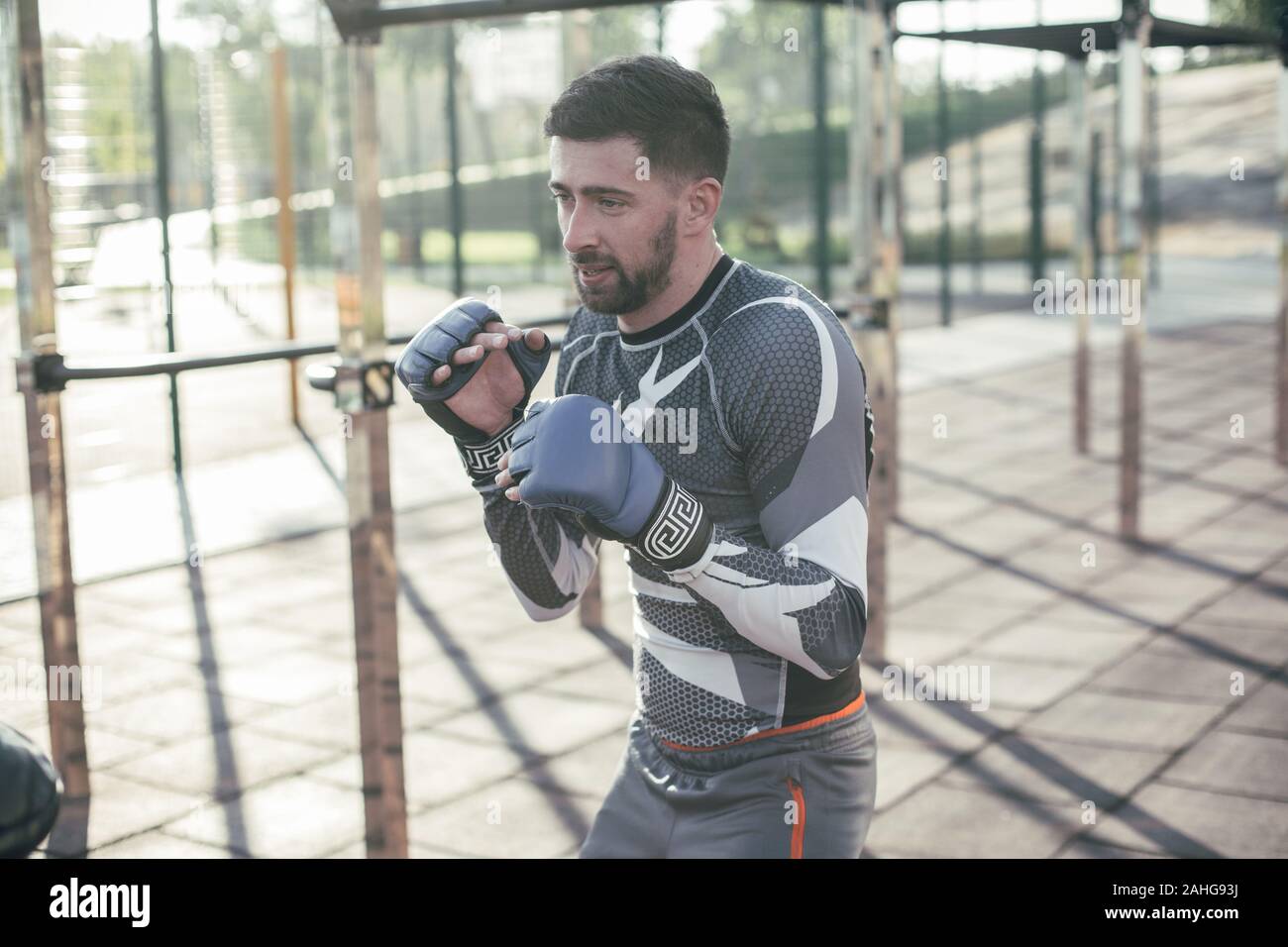 Bearded boxer standing at the sports ground and performing boxing ...