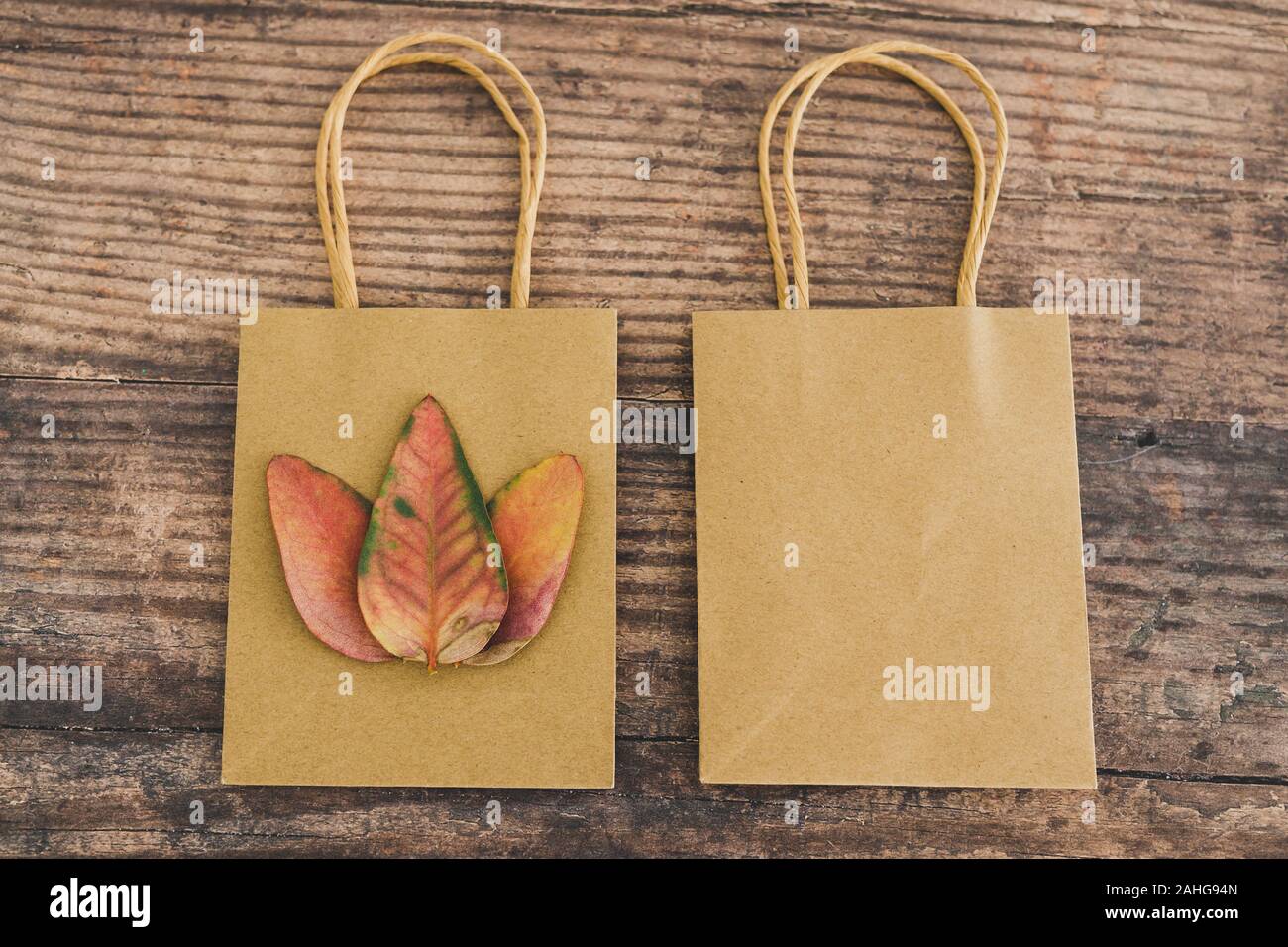 concept of avoiding waste single-use items, paper bags with leaves on ...