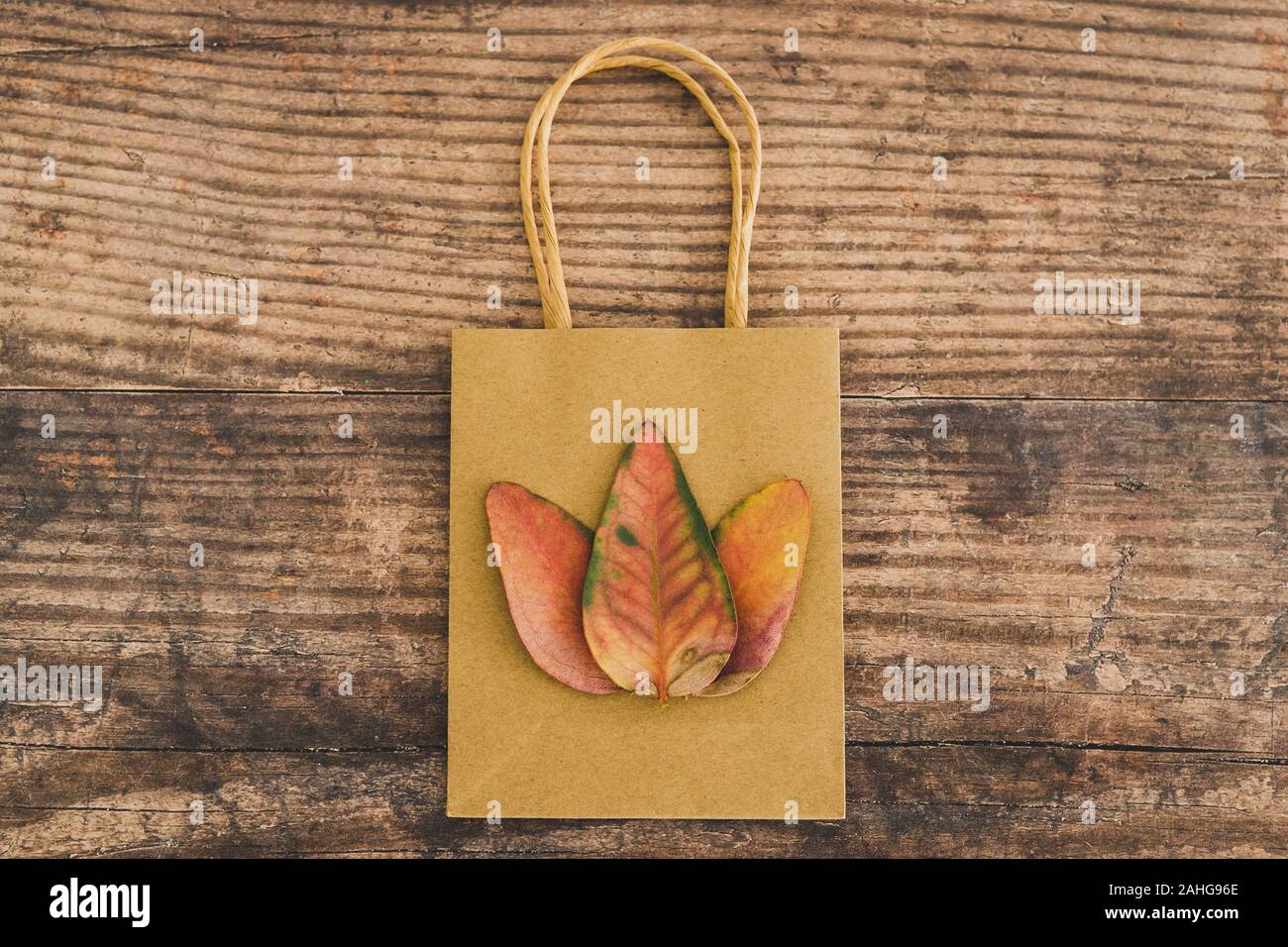 concept of avoiding waste single-use items, paper bags with leaves on ...