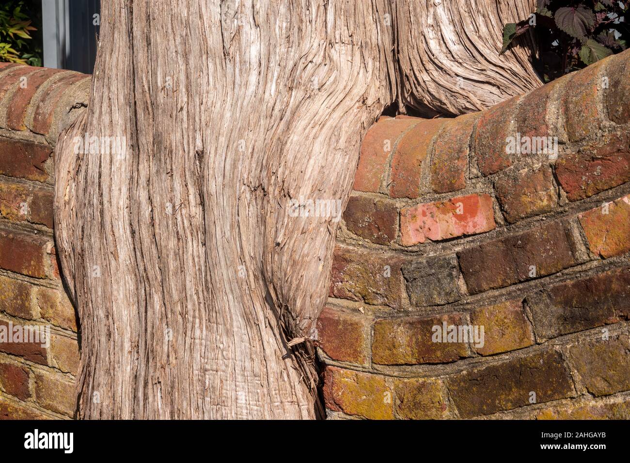 Ancient brick wall architecture hi-res stock photography and images - Alamy