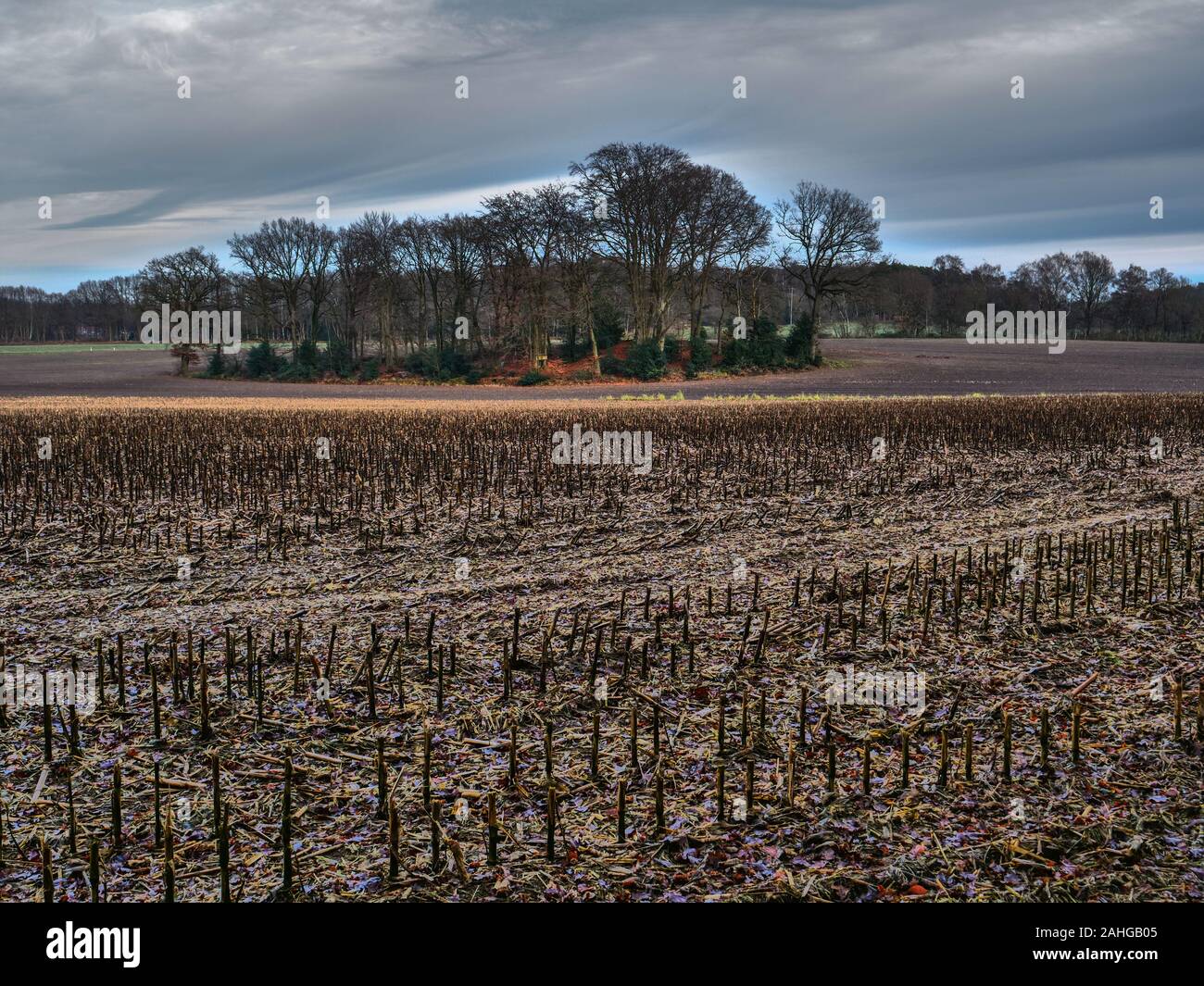 Reken hi-res stock photography and images - Alamy