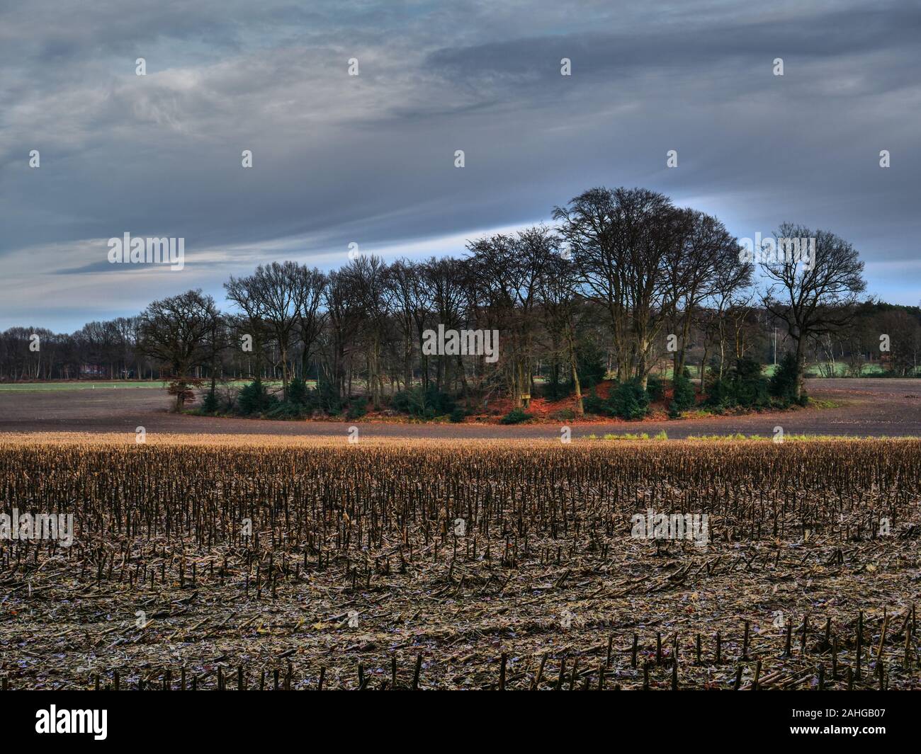 Reken hi-res stock photography and images - Alamy