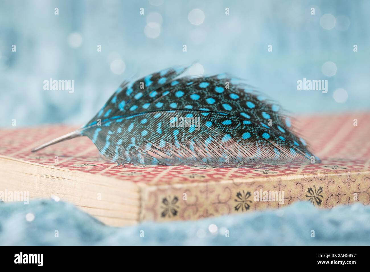 feather and book Stock Photo - Alamy