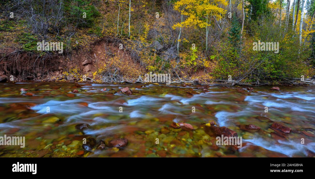 Slow moving stream with colorful aspen leaves changing to yellow Stock ...