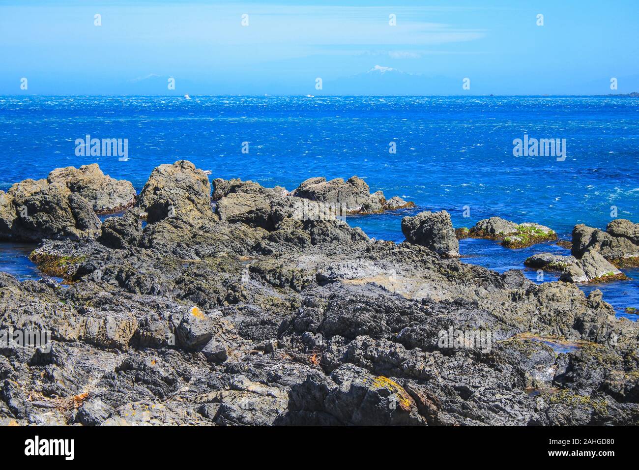 Beautiful coastline at Owhiro Bay in Wellington, North Island, New ...