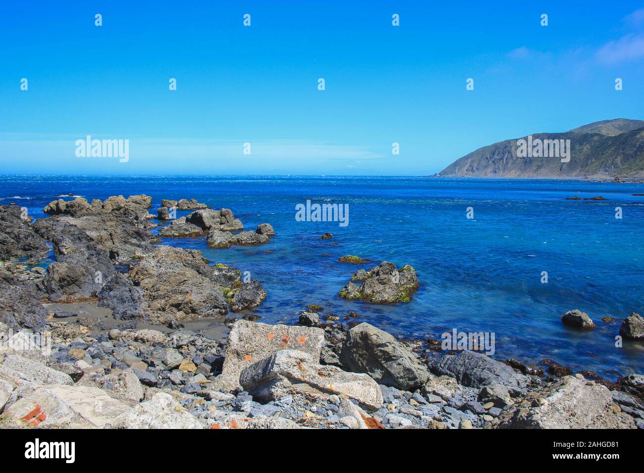 Beautiful coastline at Owhiro Bay in Wellington, North Island, New ...