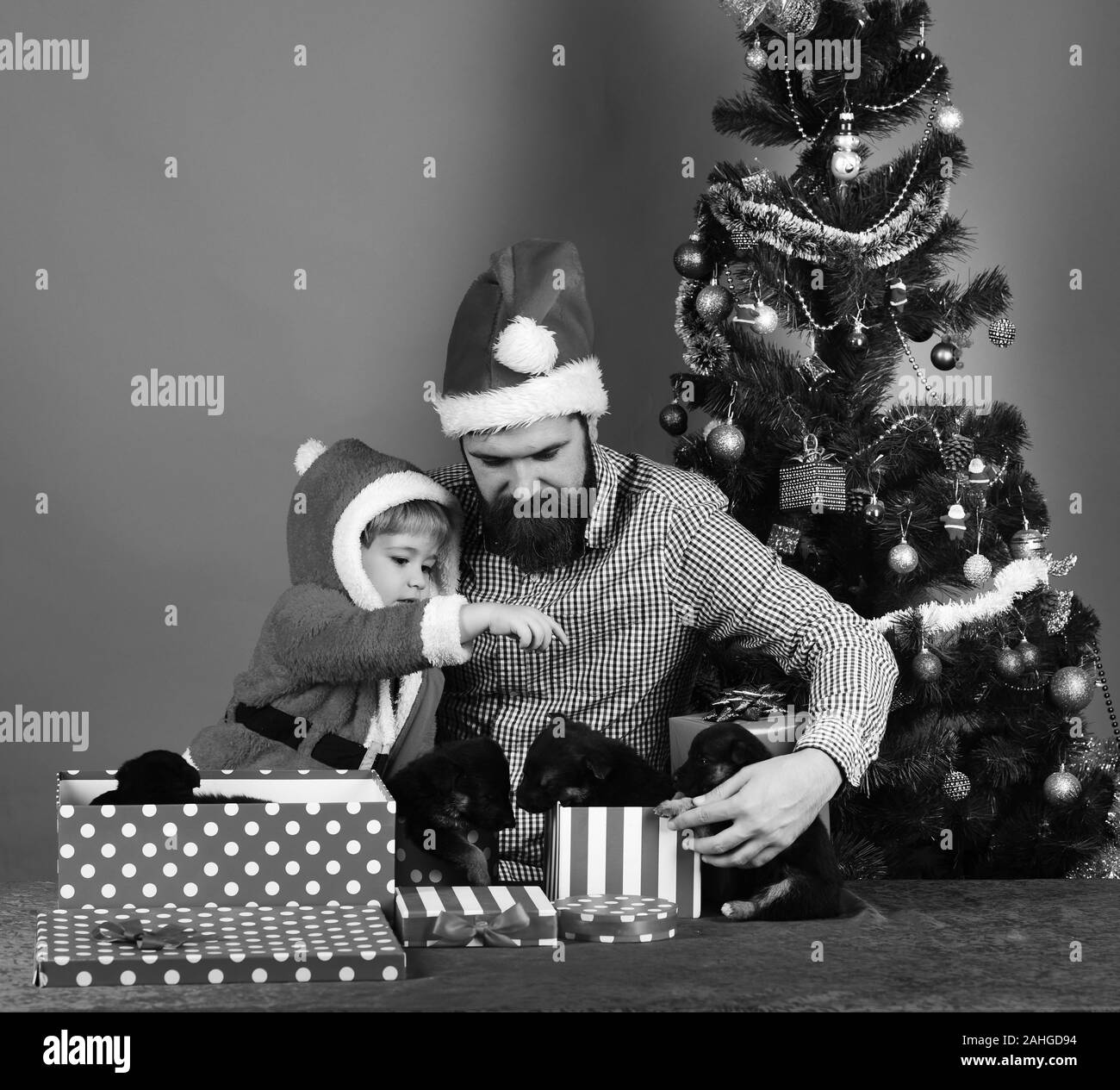 Xmas holiday concept. Father and son with busy faces unpack presents on ...