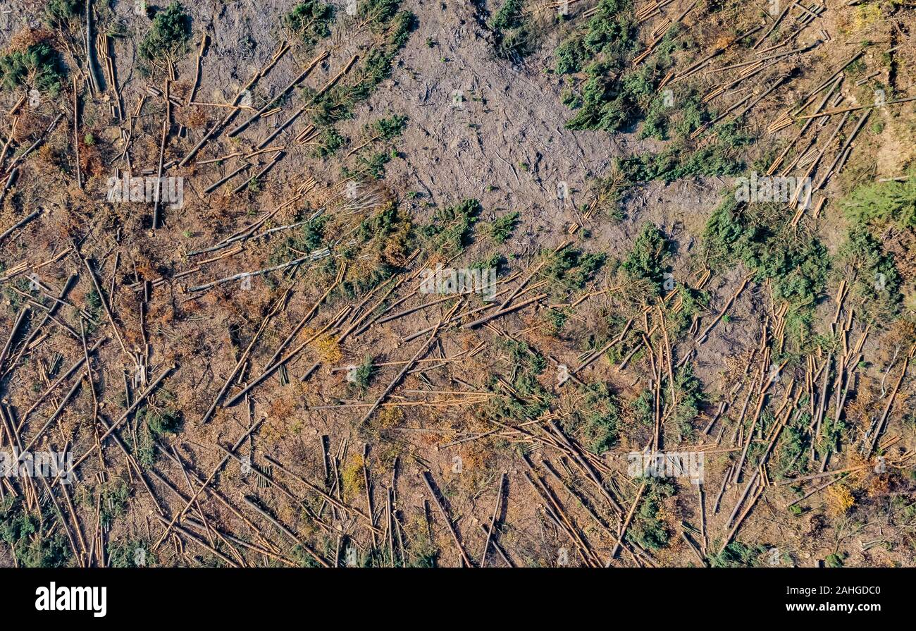 Aerial view of deforestration, environmental destruction Stock Photo ...