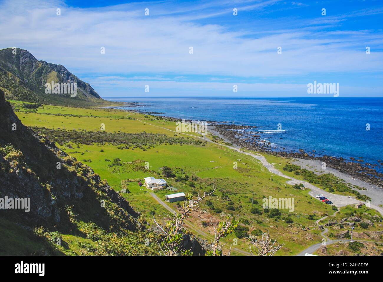 Palliser bay new zealand hi-res stock photography and images - Alamy