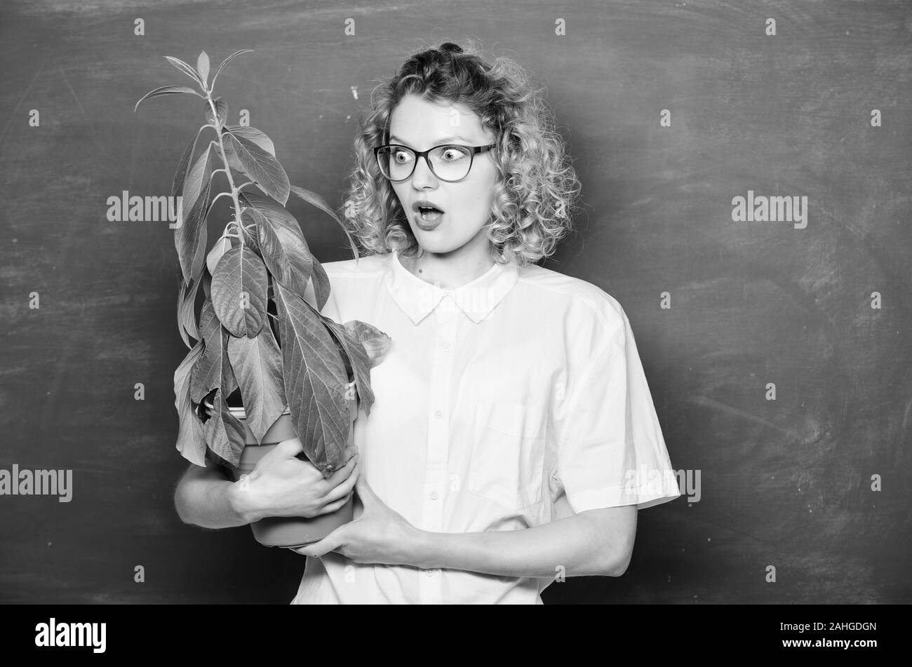 Botany and nerd concept. Woman school teacher chalkboard background ...