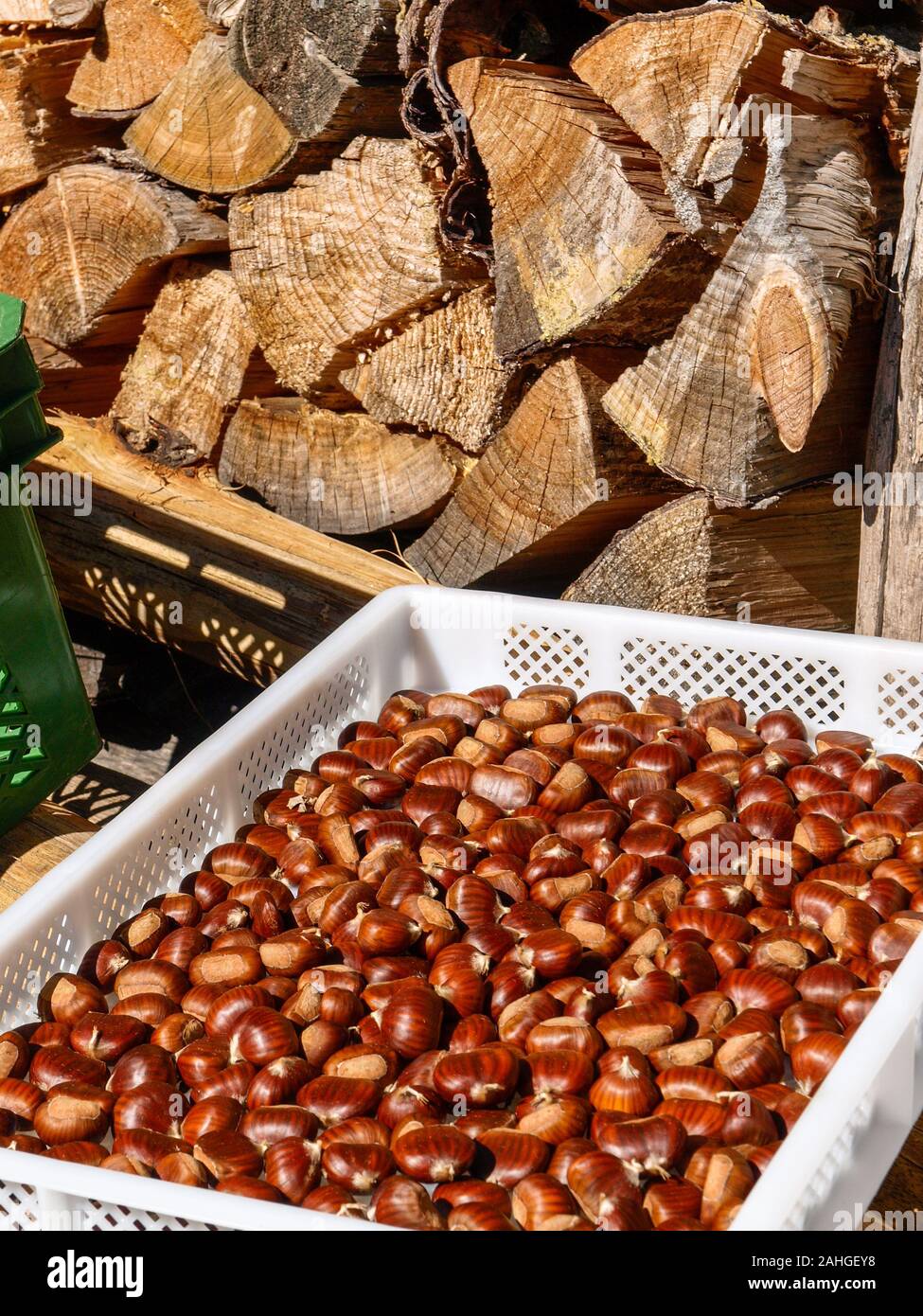 Lake of Como, Italy: ornamental chestnuts on the farm Stock Photo - Alamy