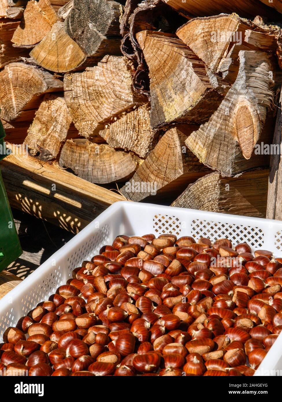 Lake of Como, Italy: ornamental chestnuts on the farm Stock Photo - Alamy