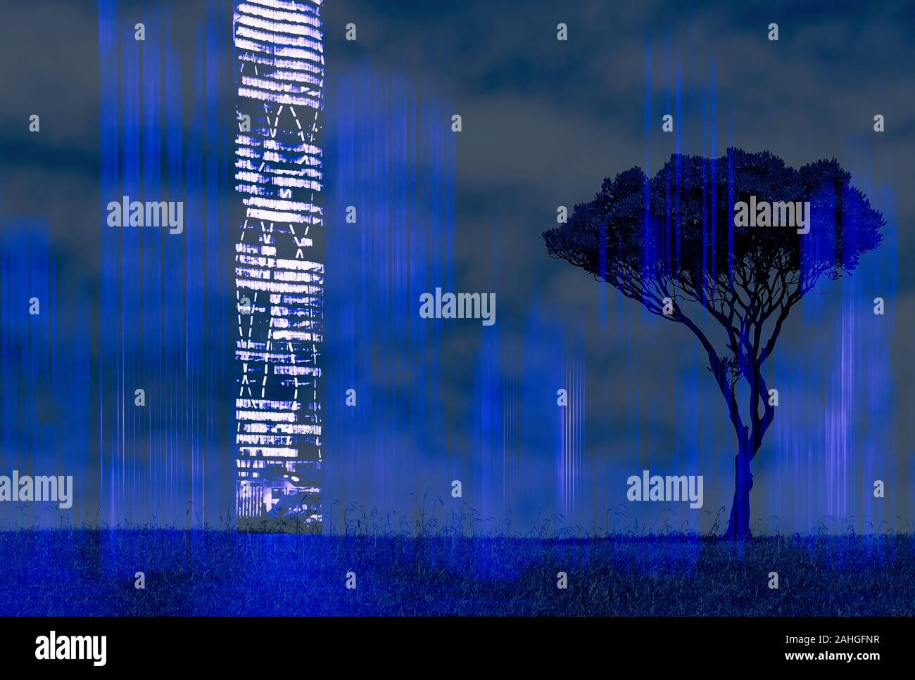 night brisbane skyline in blue, australia Stock Photo - Alamy