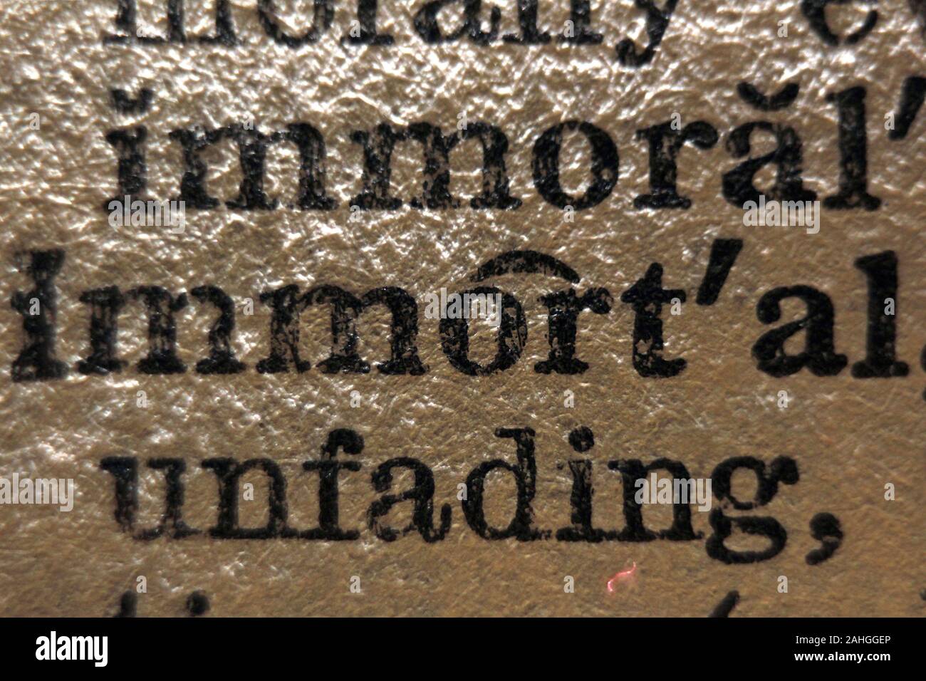 Gerontology hi-res stock photography and images - Alamy