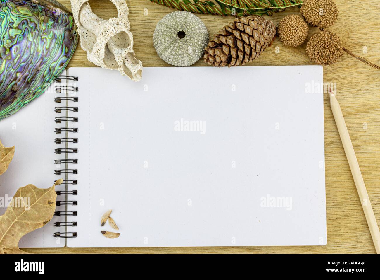 Plan nature environment design hi-res stock photography and images - Alamy