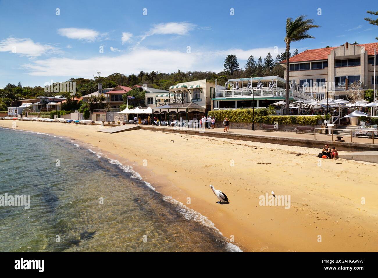 Doyles on the beach sydney hi-res stock photography and images - Alamy