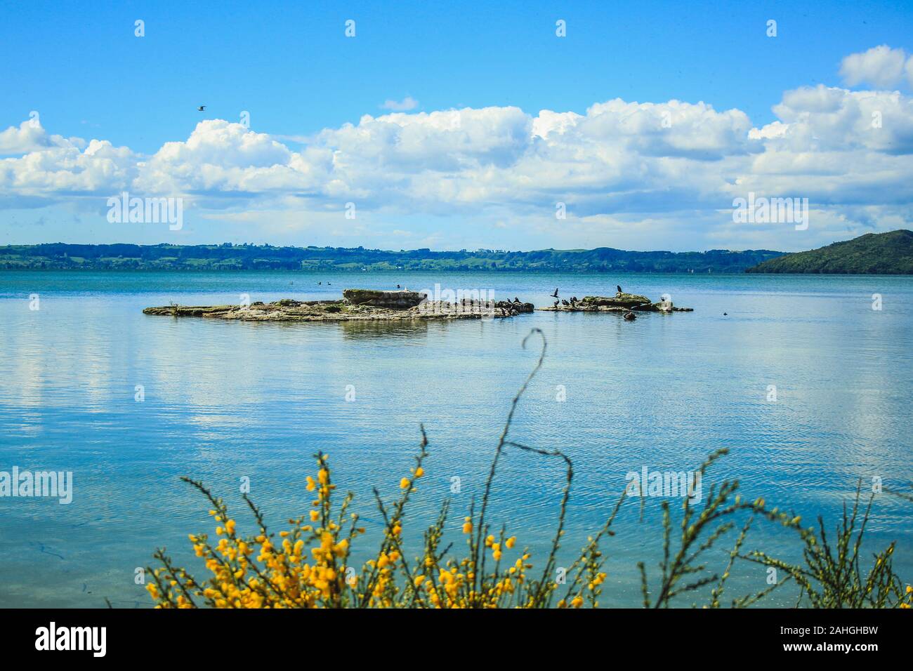 Sulphur point hi-res stock photography and images - Alamy