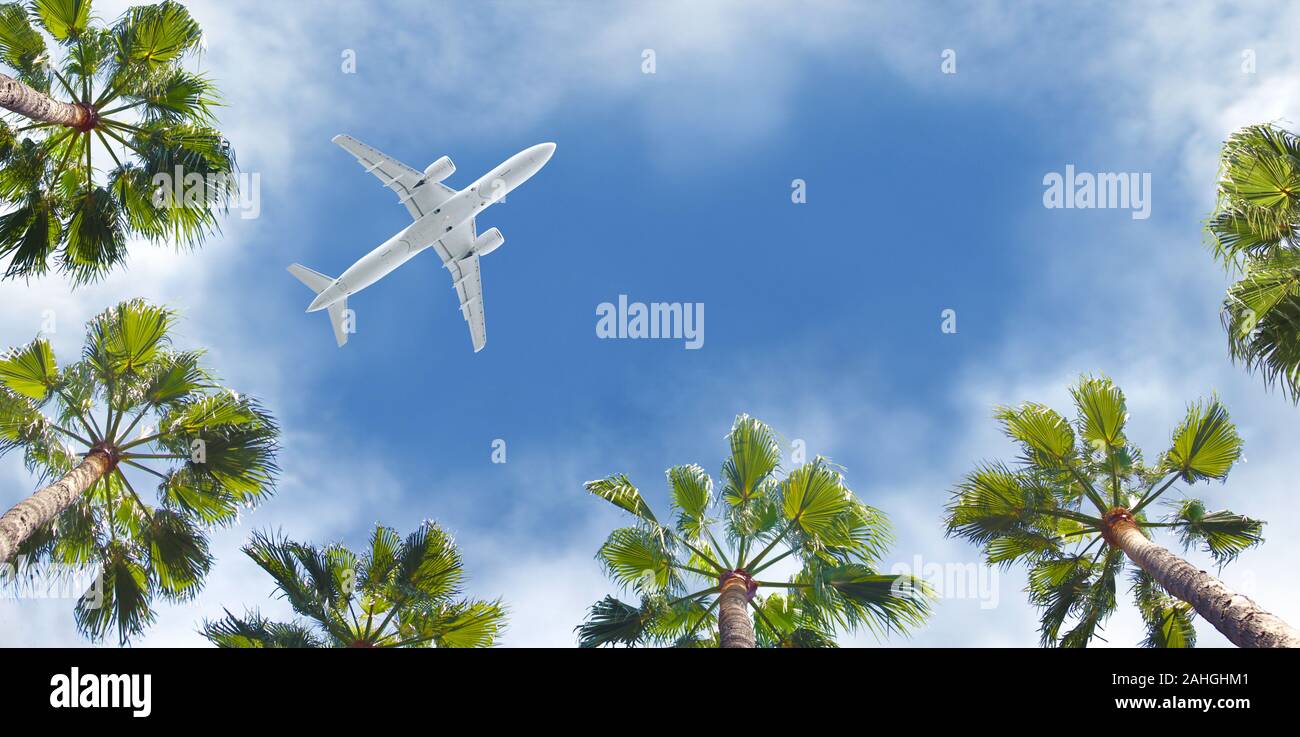 Airplane flying above the palm trees Stock Photo - Alamy Airplane flying above the palm trees Stock Photo - Alamy