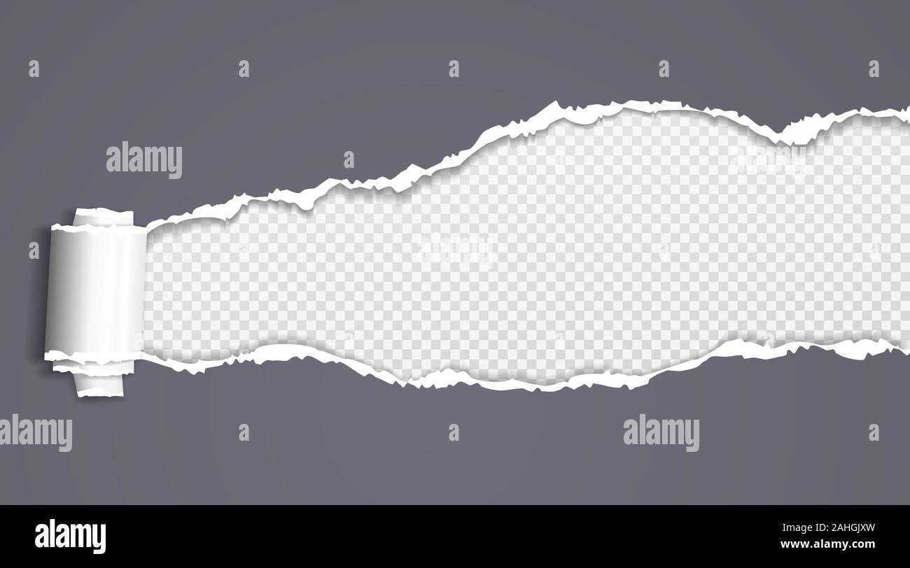 Rolled and ripped dark grey paper is on squared background for text ...