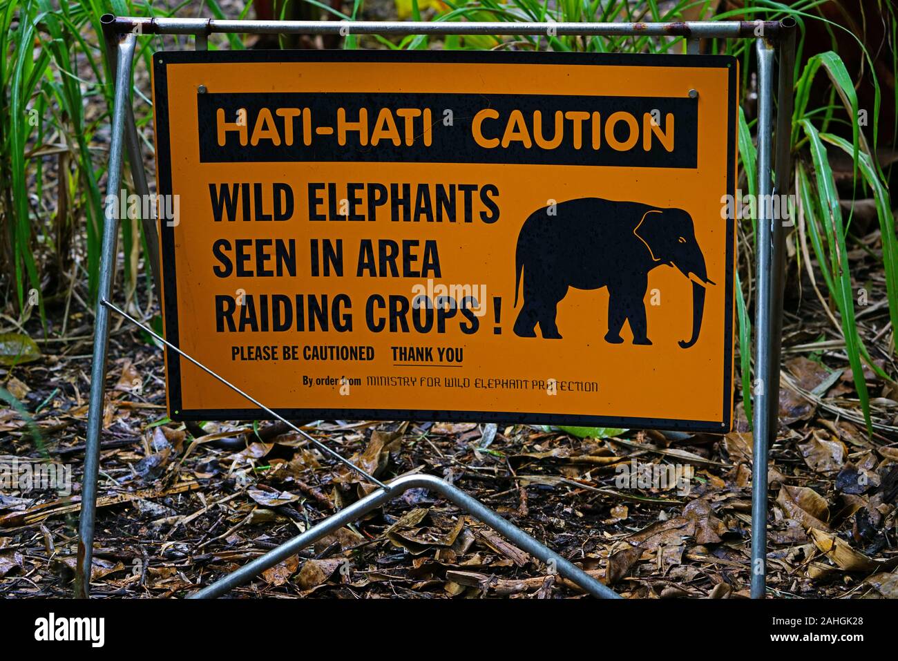 MELBOURNE, AUSTRALIA -14 JUL 2019- View of the Melbourne Zoo, an ...