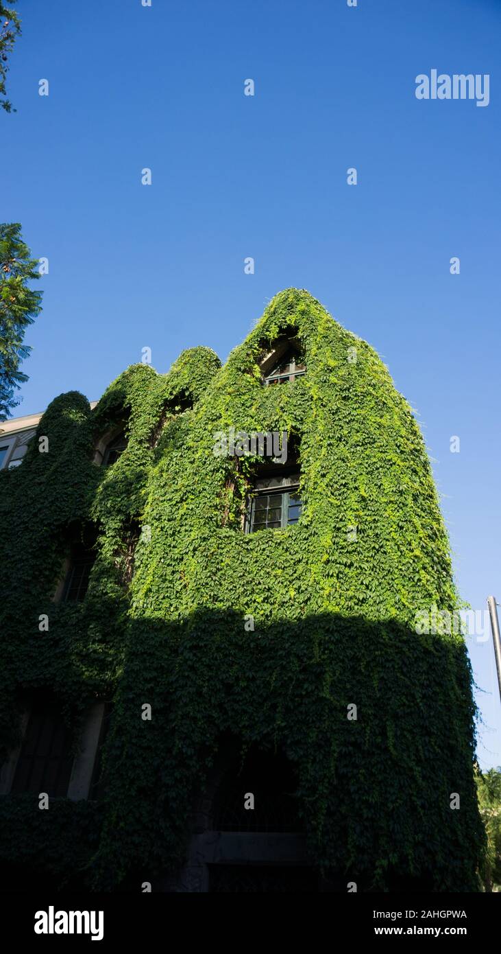 House covered with plants hi-res stock photography and images - Alamy