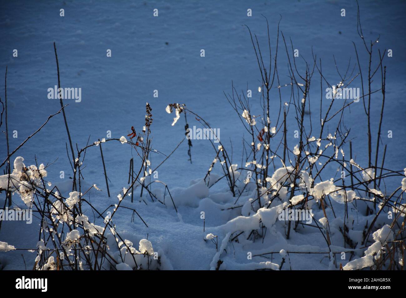Light through ide hi-res stock photography and images - Alamy